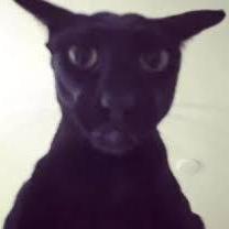 Sharmaaaryan4012 Aaryan Sharma Github