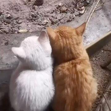 Oreki Yurii Yurii Github - High Resolution Minimal Arts for Desktop