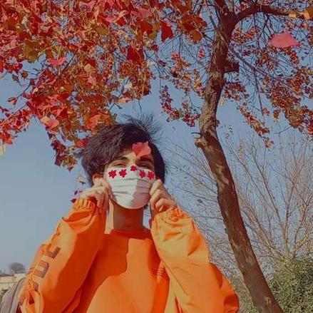 Muhd Umer Muhammad Umer Github