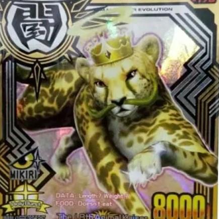 Github Hirexia Test Extension Browser - Light Background Collection - Ultra HD Quality