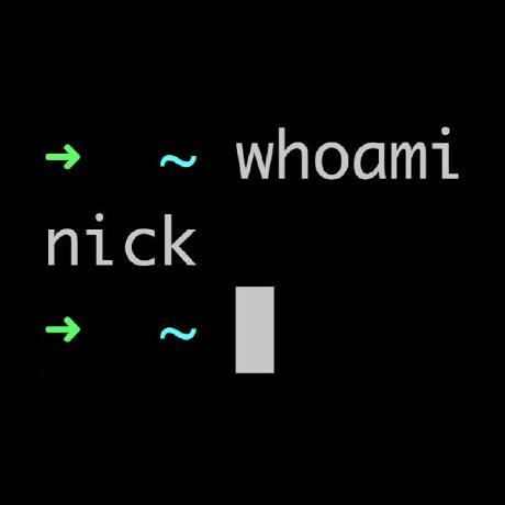 Nickwritessomecode Nick Github