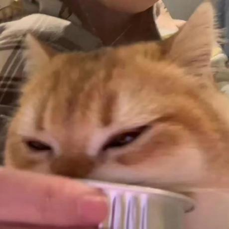 Echo840 Zhang Li Github