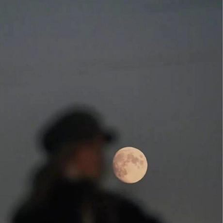 Su0510 Frederick Github