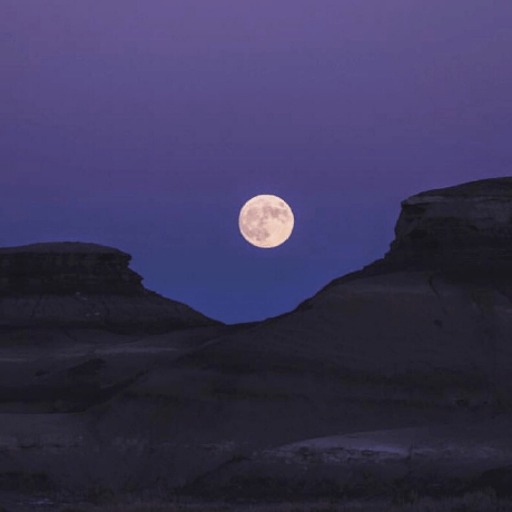 Qinengwang Aiden Qineng Wang Aiden Github