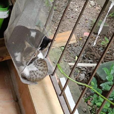 Aftermath22 Aftermath Rehab Github