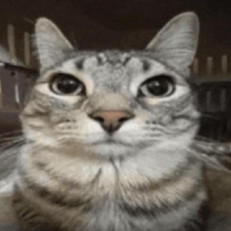 Hacked Prototype Hackedx Prototype Github