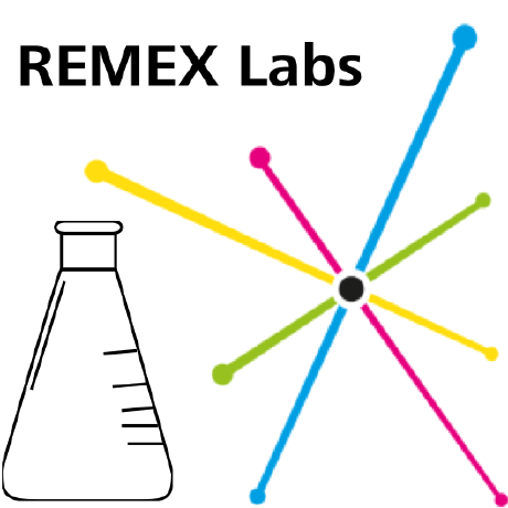 Remexlabs Github