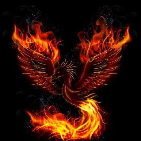 Anandmuthuvel02 Anandaraj M Github