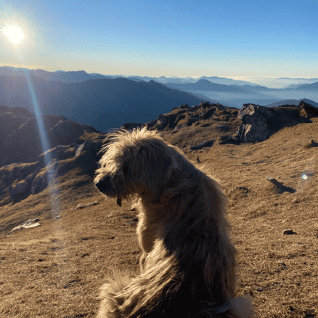 Sidhant947 Sidhant Github