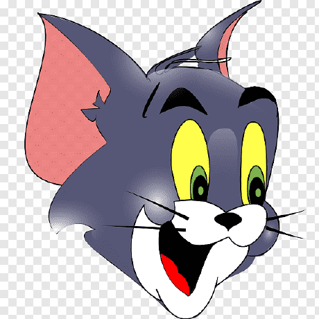 Wangartsoar Xiaoyi Github