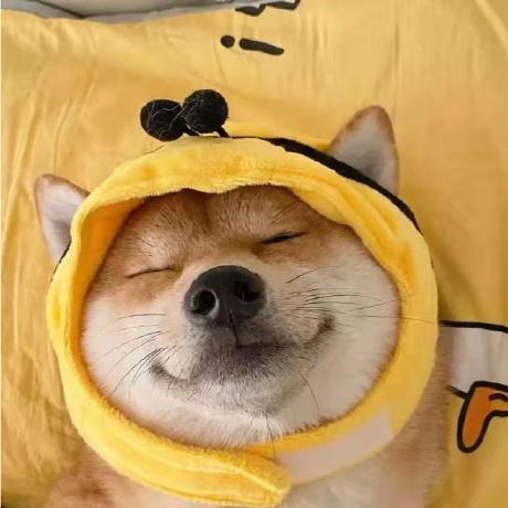 Turtlepig2001 Whmu Github