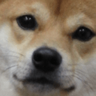 Itsmarsss Kenny Github