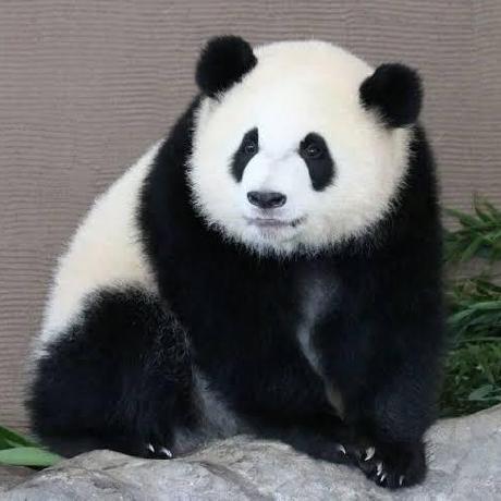 Haru 24 Haru Nishiura Github