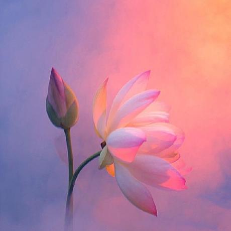 Miraclesinworld Miracle Github