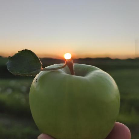 Atbarry Alexander Barry Github