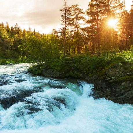 Github Bsauce Kernel Exploit Factory Linux Kernel Cve Exploit - Best Gradient Backgrounds in 4K