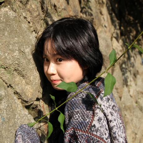 Subincdev Subin Choi Github