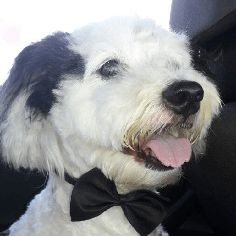 Github Marvellembeddedprocessors U Boot Marvell Marvell Pbu U Boot