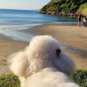 Nanda Bg Fernanda Github