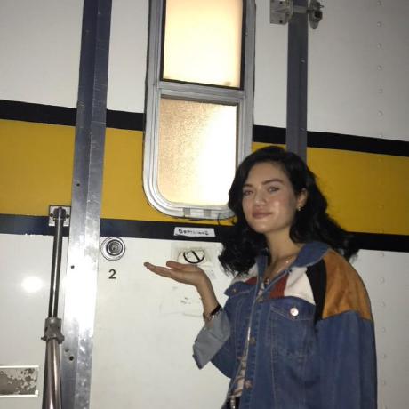 Kaylacarlson Kayla Carlson Github