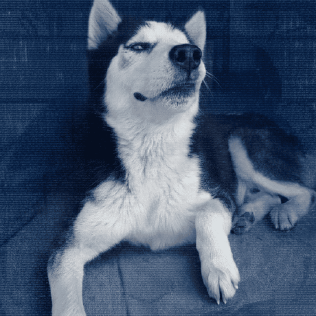 Rck1999 Erick Github