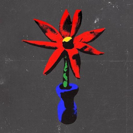 Alanis C Github - Stunning 4K Light Arts | Free Download