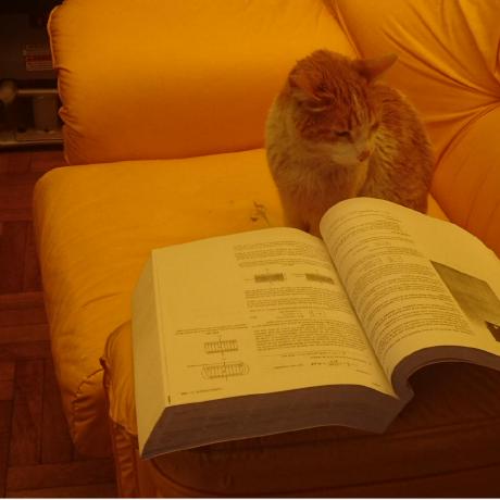 Chunchutronica Chunchumaru Github