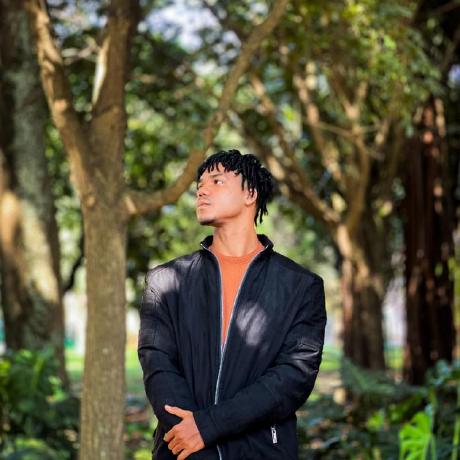 1sander Wallace Sander Github