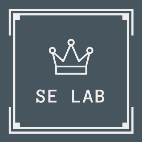 Se Lab Github