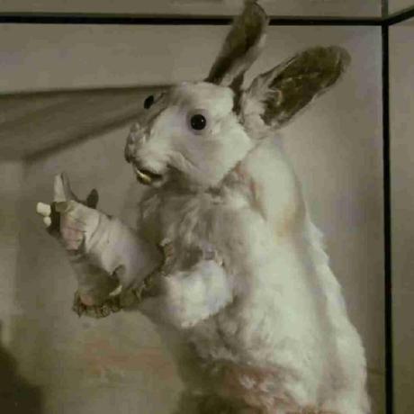 Yyy Router Hqy Github