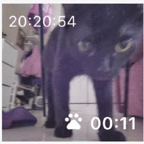 Igor Goss Igor Github