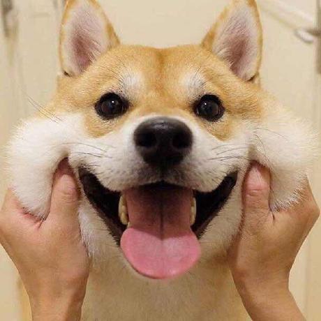 Github Antcplab Openbumblebee The Repo Of Bumblebee Secure Two