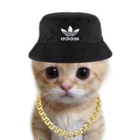 Ddosmukhambetov Ddos Github