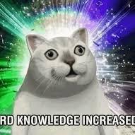 Thinhlpg Thinh Le Github