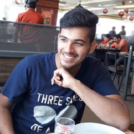 Ritwik Ritz Ritwik Agarwal Github