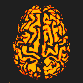 Brainhack School Github