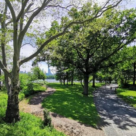 Jiwang19 Ji Wang Github