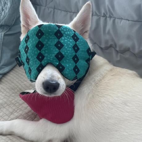 Jerry Hansol Hansol Github