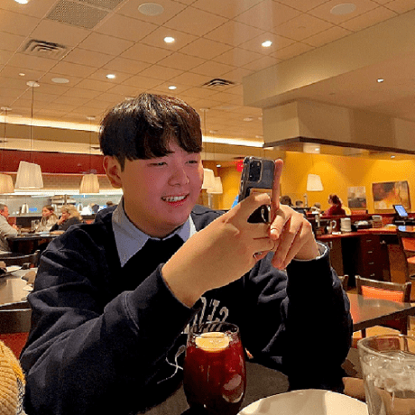 Codeforchoi Sunghyun Choi Github