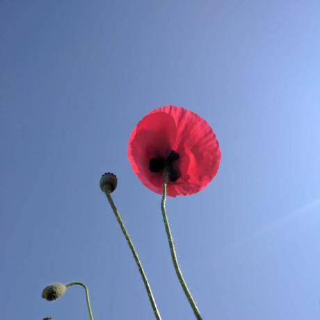 Createchance Github - Mountain Image Collection - Retina Quality