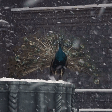 Nikxk Nikhil Sethukumar Github