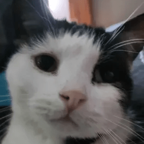 Ivan Hart Ivan Hart Github