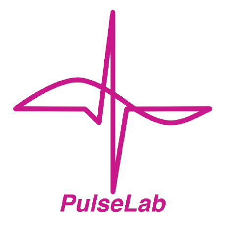 Pulselab Team Github