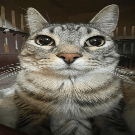 Nguyenlock John Marston Github