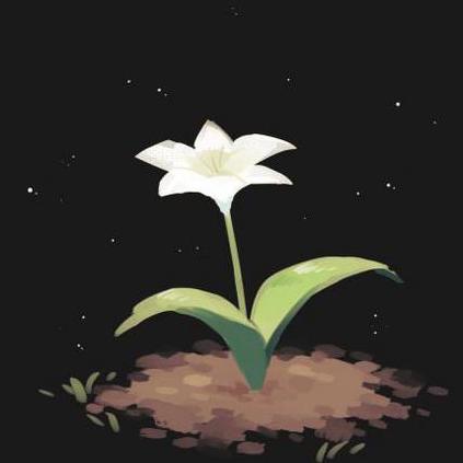 Tylerhempel Tyler Hempel Github