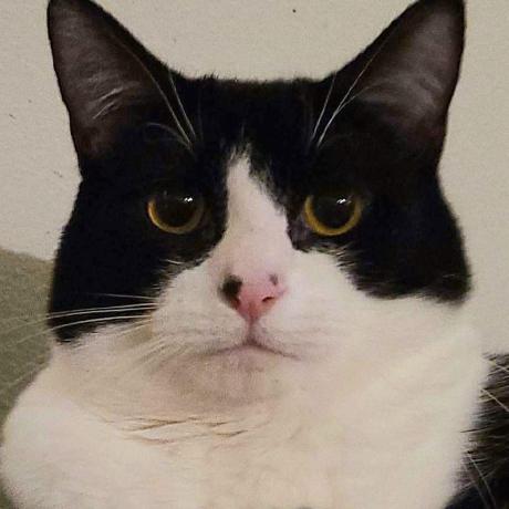 Ethan Pt Ethan Github