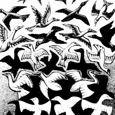 Ampm Research Github