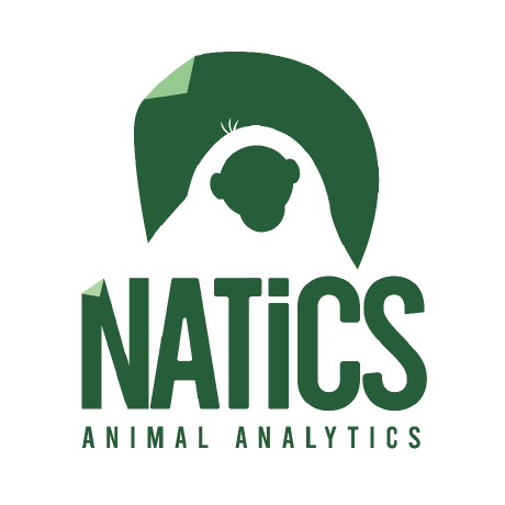 Natics Os - City Art Collection - Full HD Quality