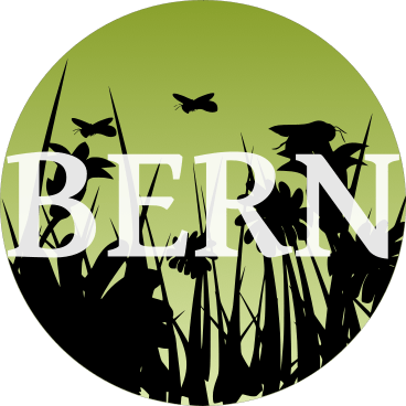 Ada Bern Github - Premium Ocean Image Gallery - Full HD