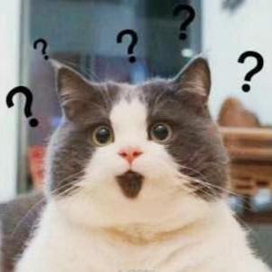 Guoyww Yuwei Guo Github